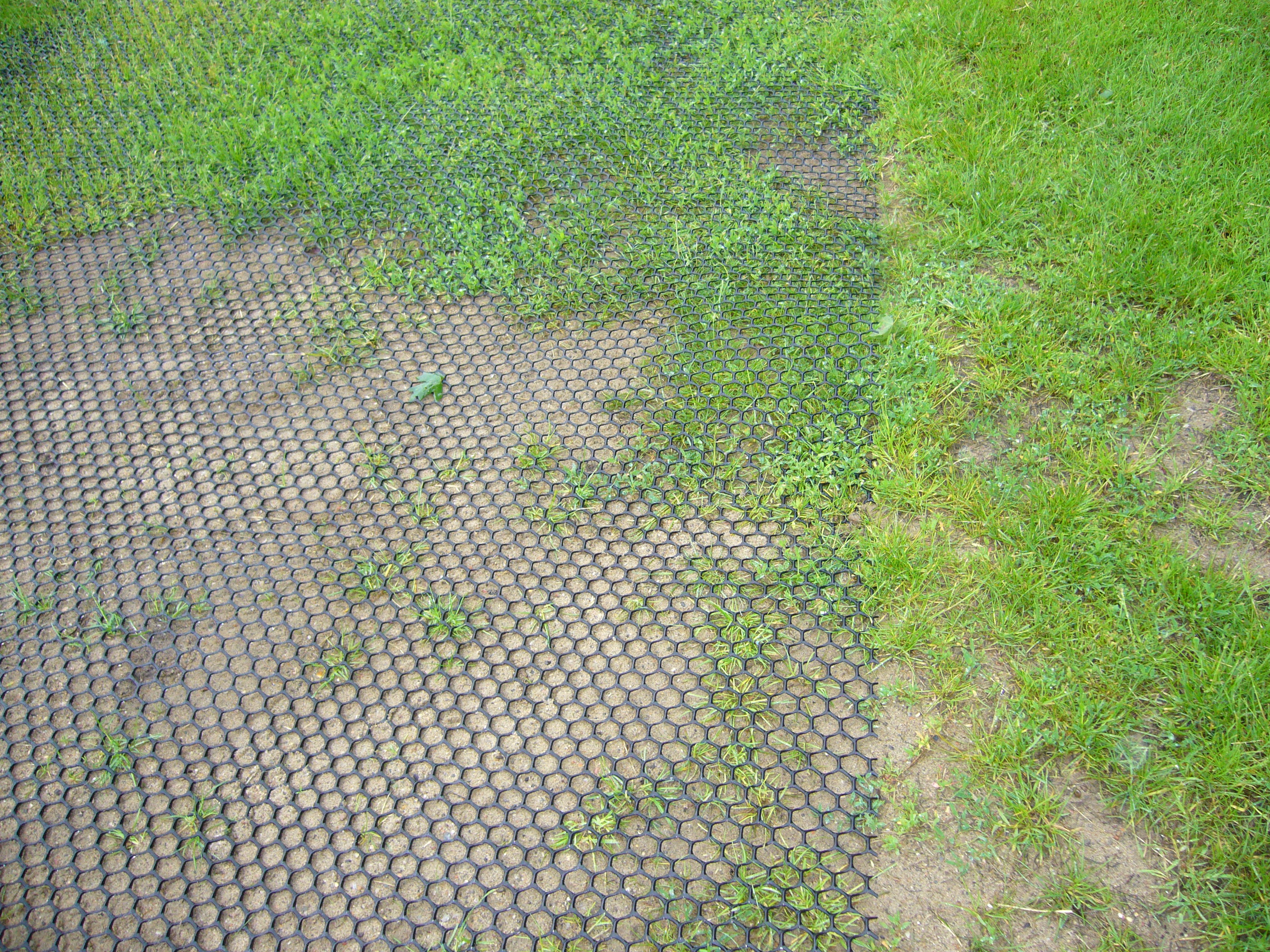 Reinforcement net for various applications