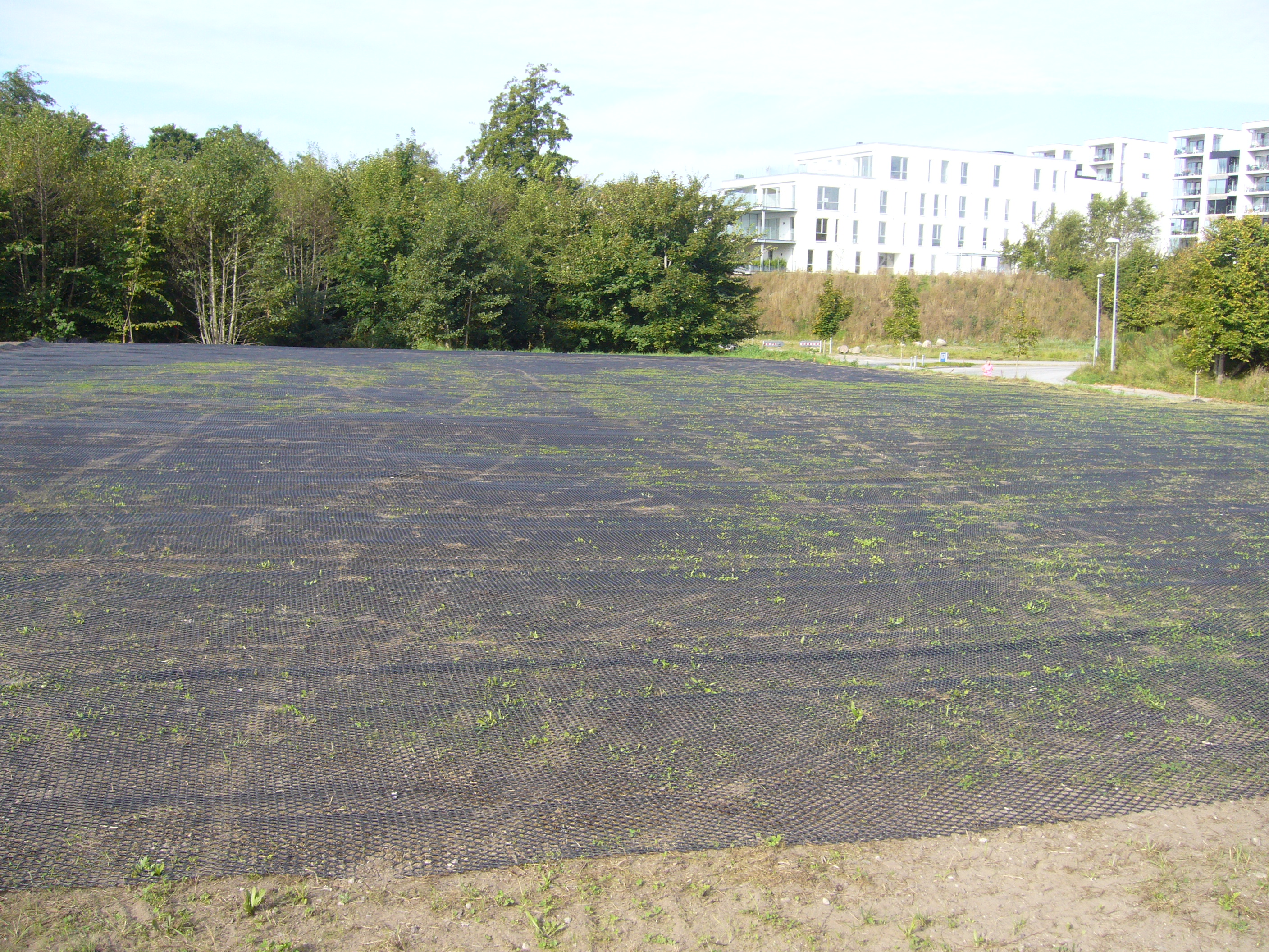 Reinforcement net for various applications